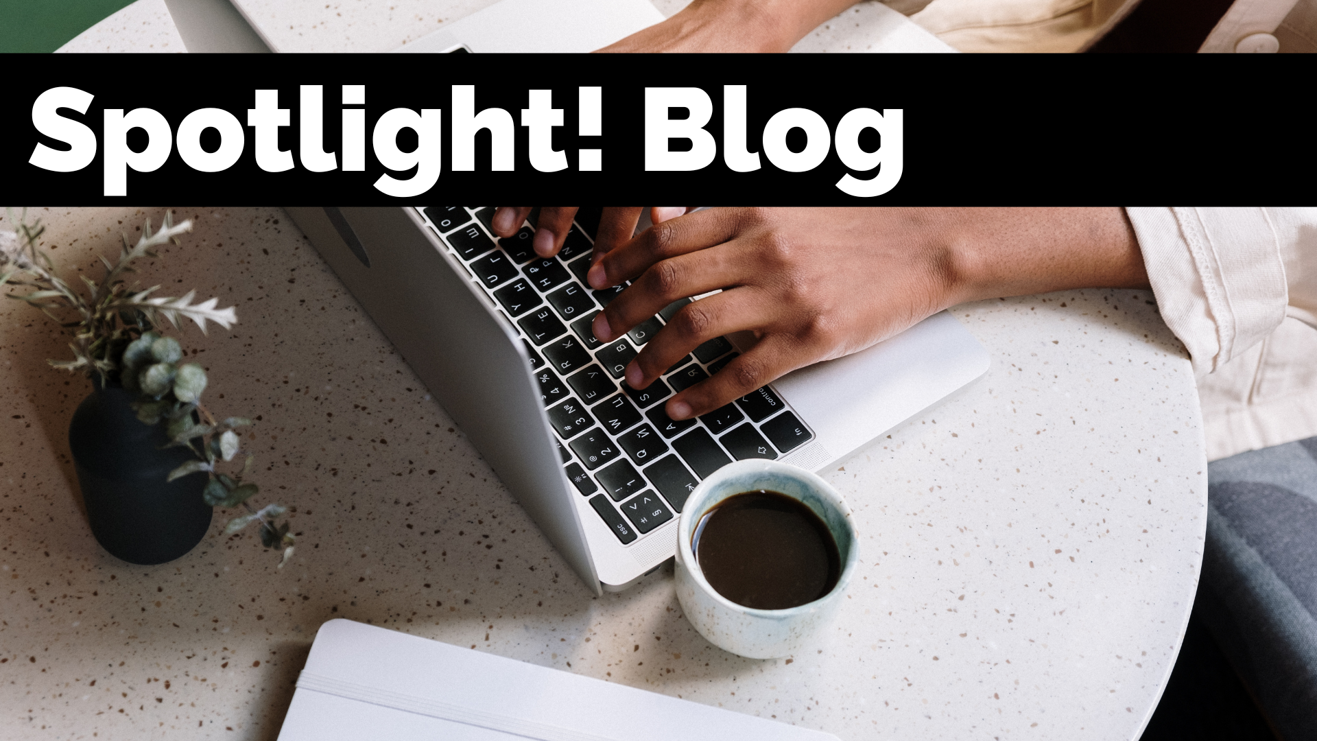 Blog - Spotlight!